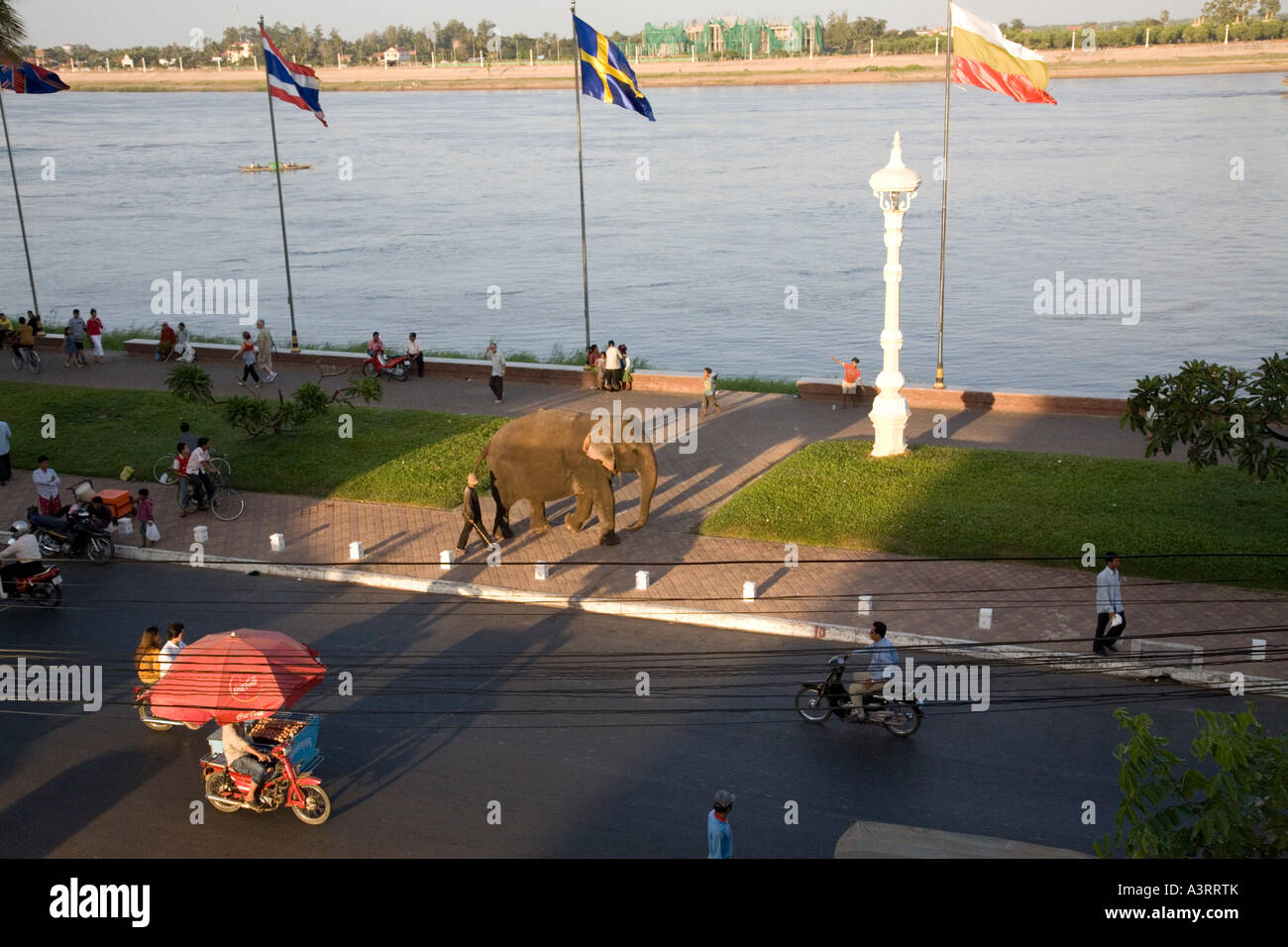 Bo the elephant hi-res stock photography and images - Alamy