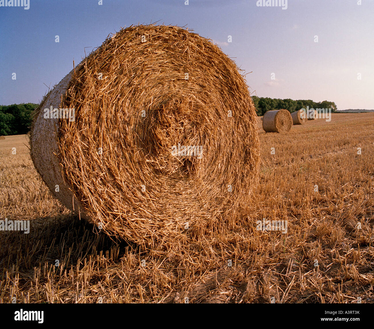 Straw Bale Caps