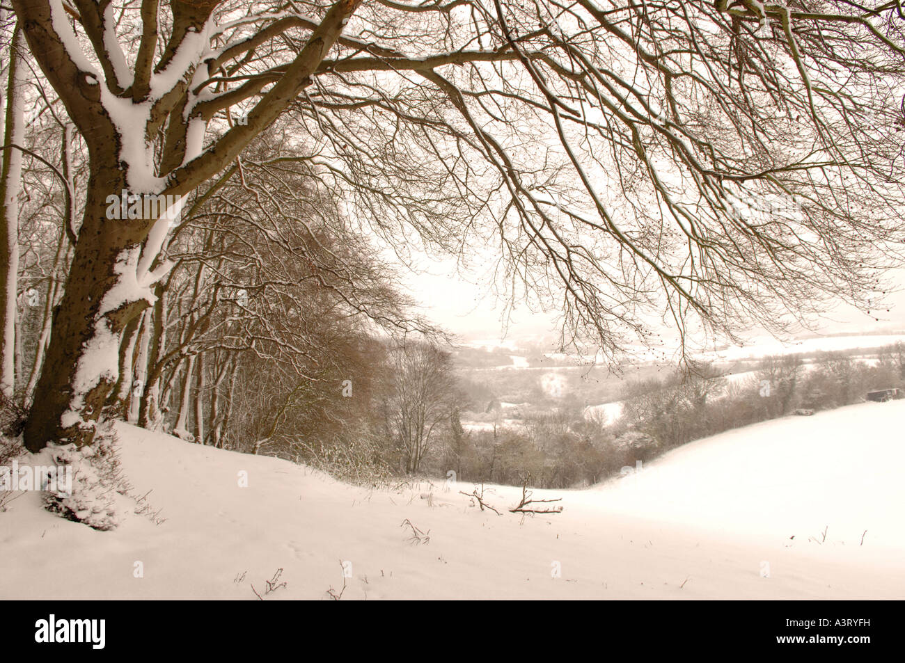 Quiet snow covers the fields that overlook Penn Buckinghamshire in ...
