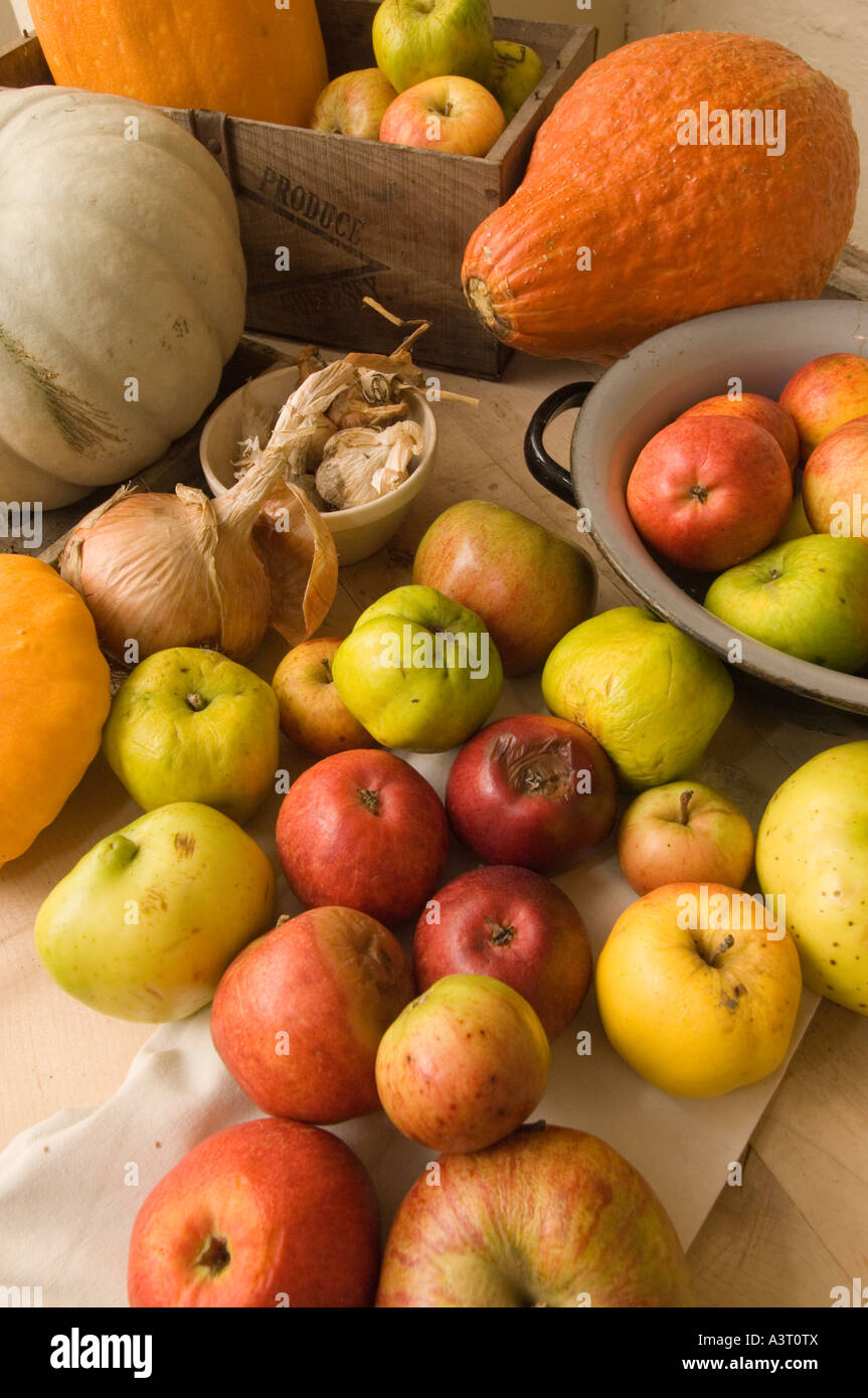 Home grown organic apples, onion, pumpkins (old traditional varieties ...