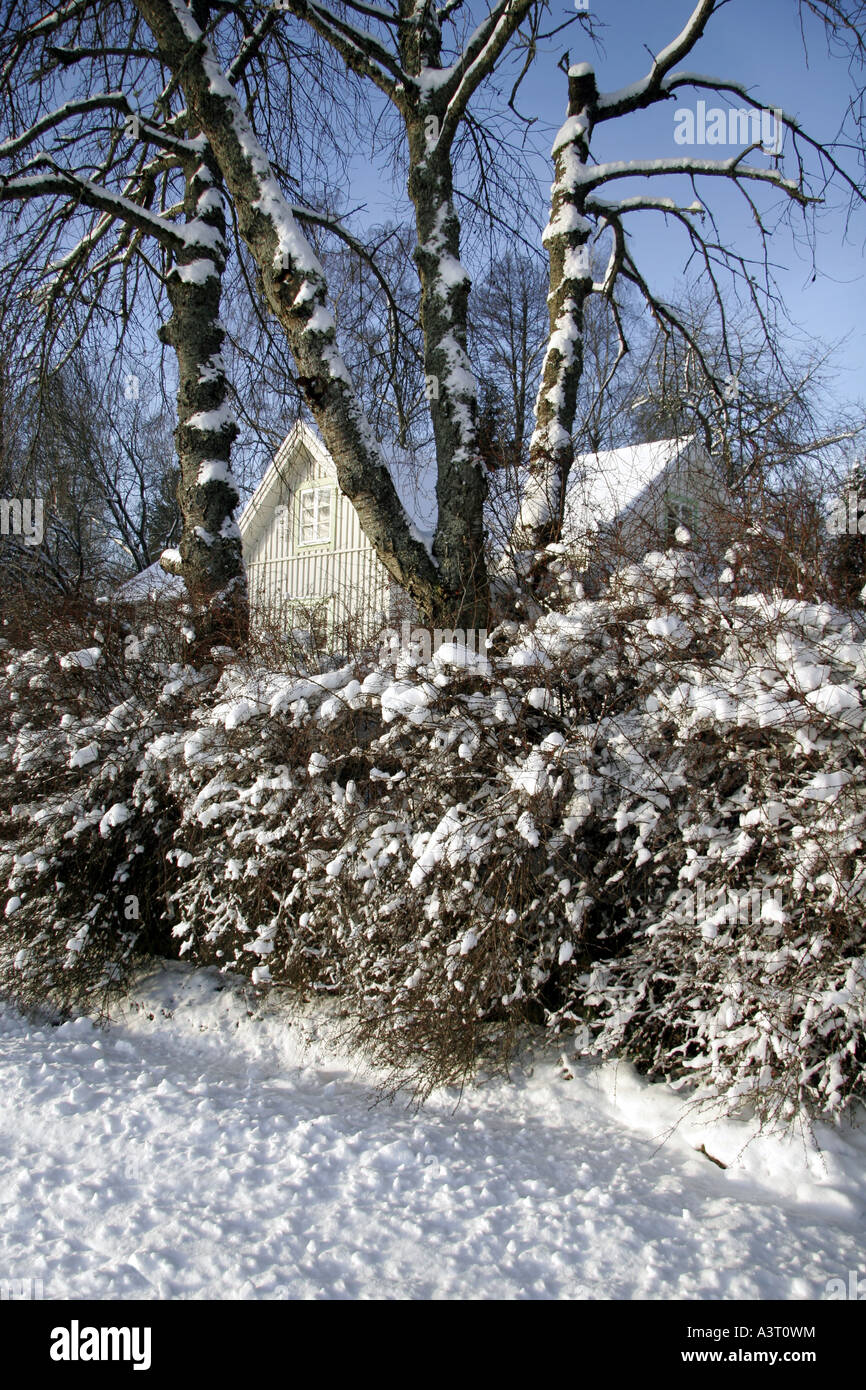 Winter scene in Sweden Stock Photo - Alamy