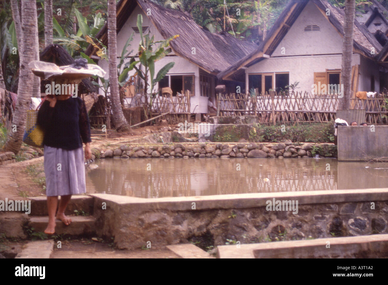Java village hi-res stock photography and images - Alamy