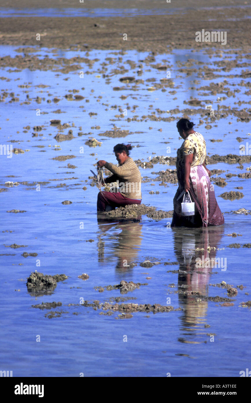 Native pacific islanders fishing hi-res stock photography and images ...