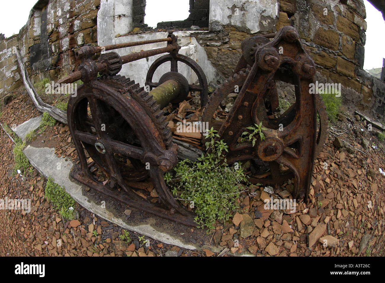 Old whaling factory sperm whale hunting Horta Azores Islands Portugal ...