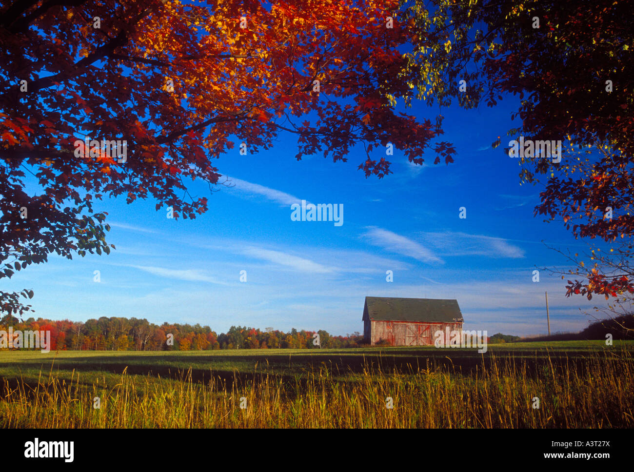 A barn and field are framed by trees with fall foliage near Marquette ...