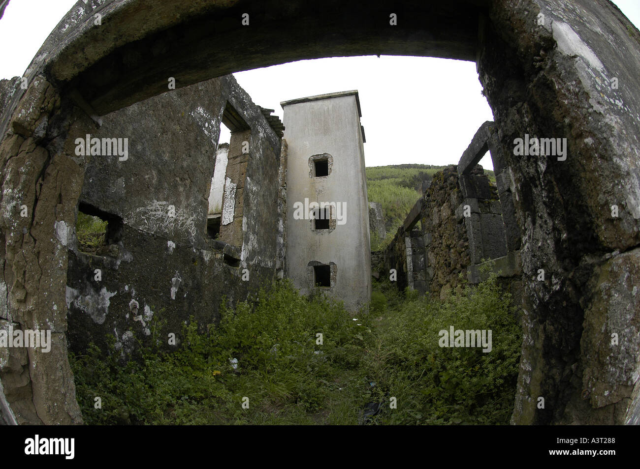 old whaling factory sperm whale hunting Horta Azores Islands Portugal ...