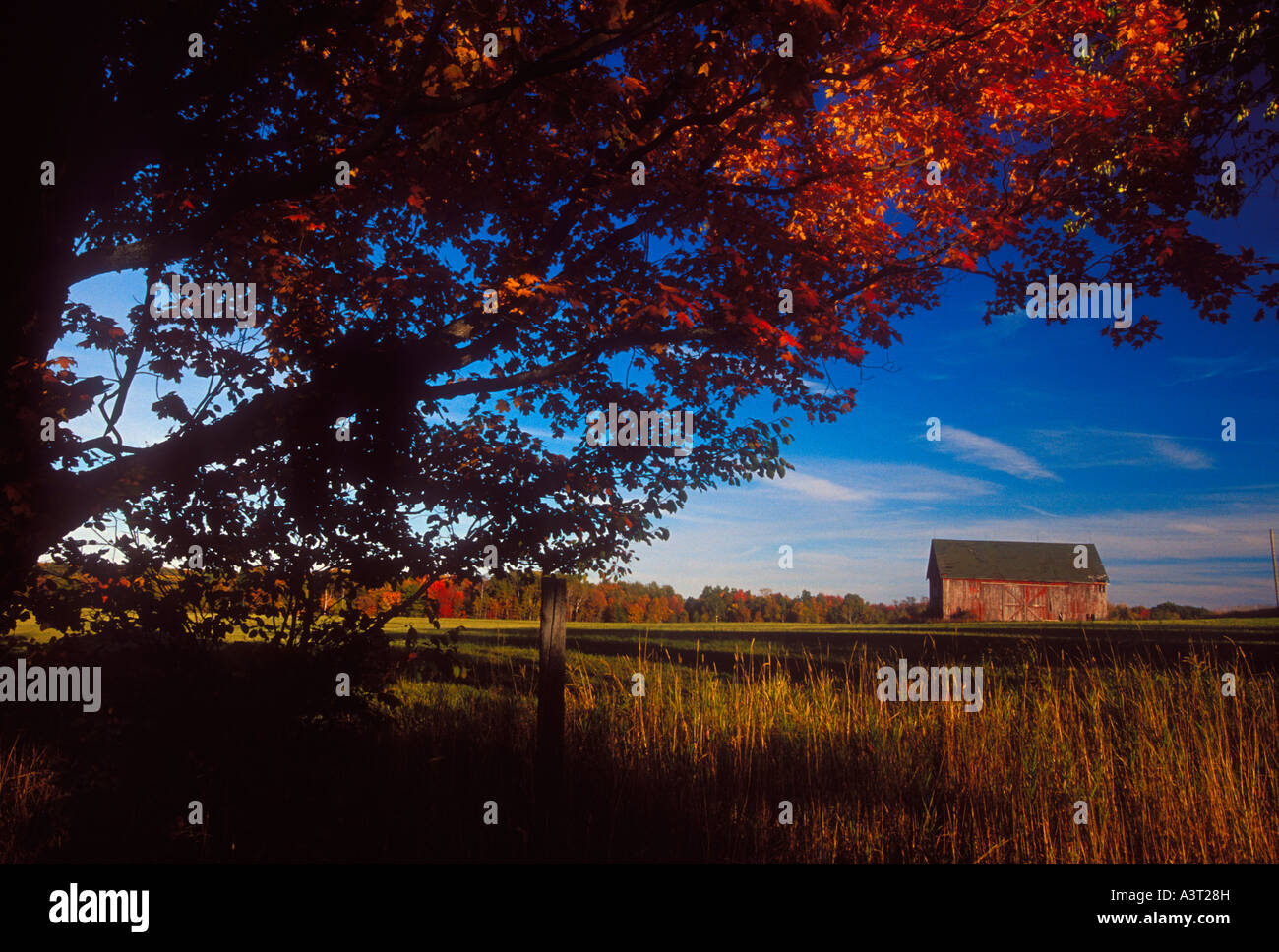 A barn and field are framed by trees with fall foliage near Marquette ...