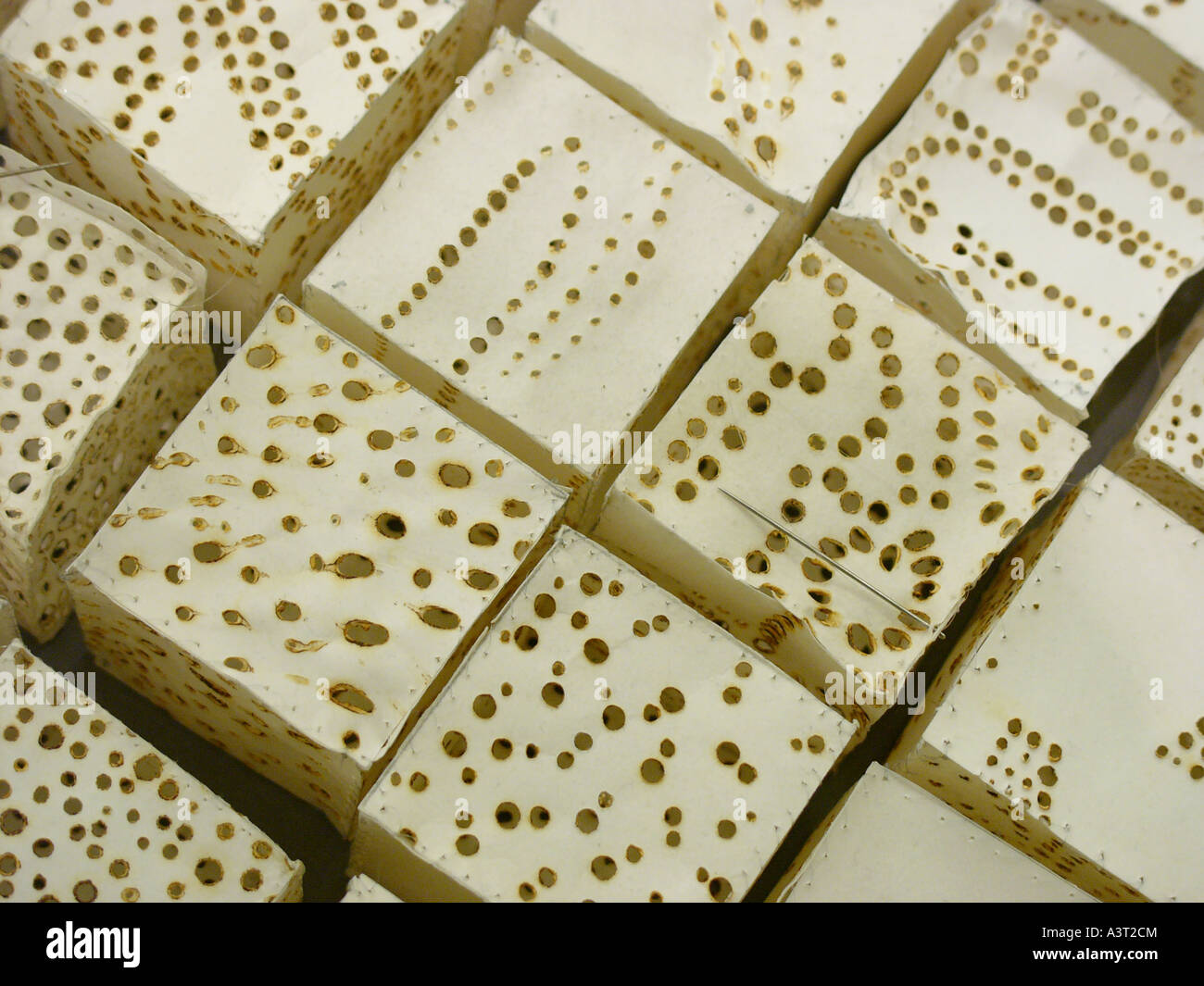 Perforated Paper Art