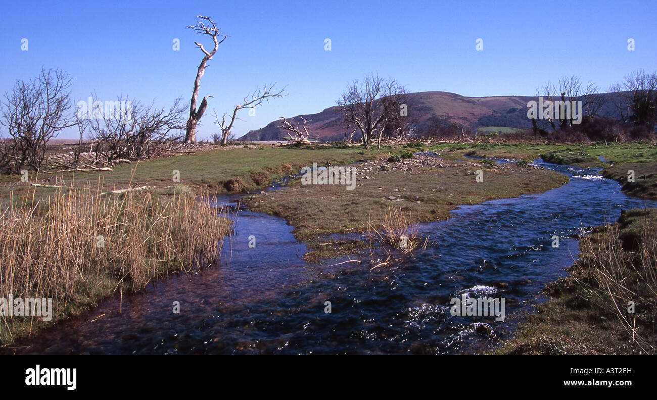 Porlock Marsh, West Somerset Stock Photo - Alamy