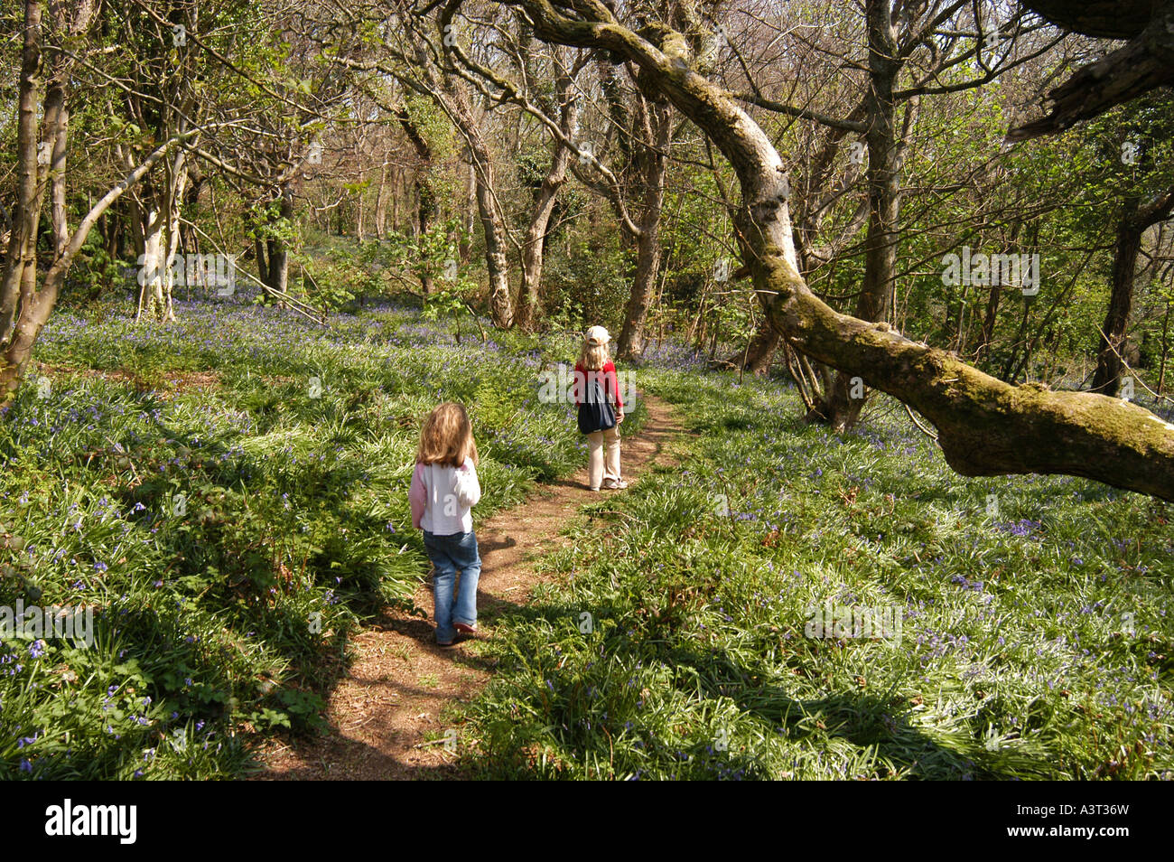 two young girls kids walking on a footpath in Penglais oak woods ...