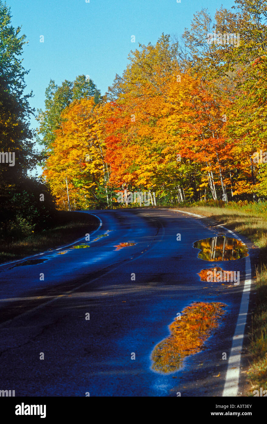 Fall color reflects in puddles on a road near Marquette Michigan in ...
