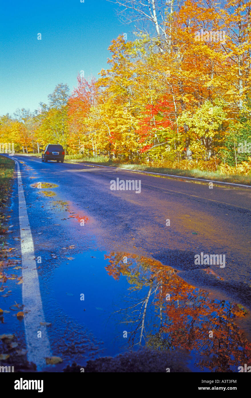 Fall color reflects in puddles on a road near Marquette Michigan in ...
