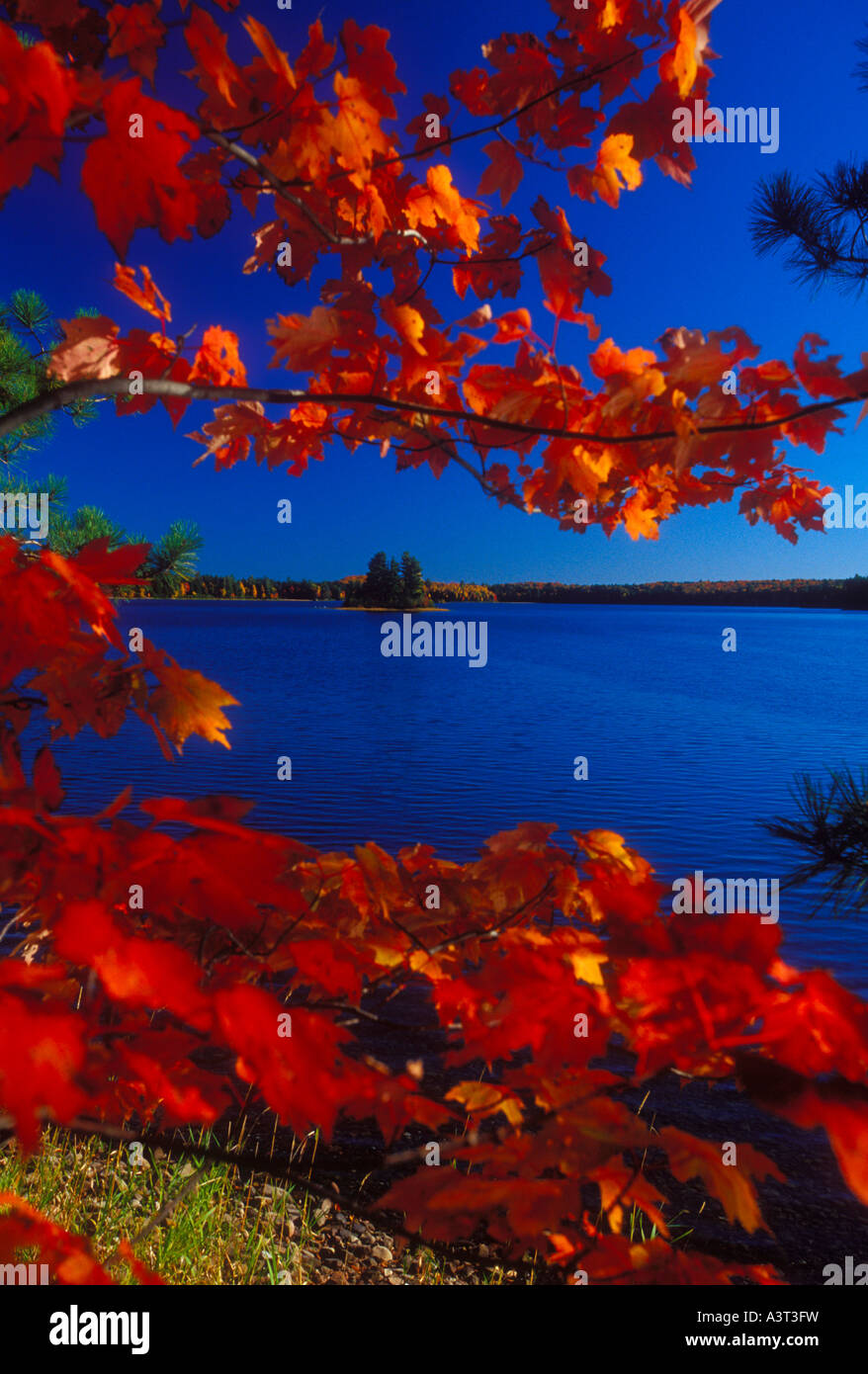 Maples in fall color frame a lake in Michigan s Upper Peninsula in ...