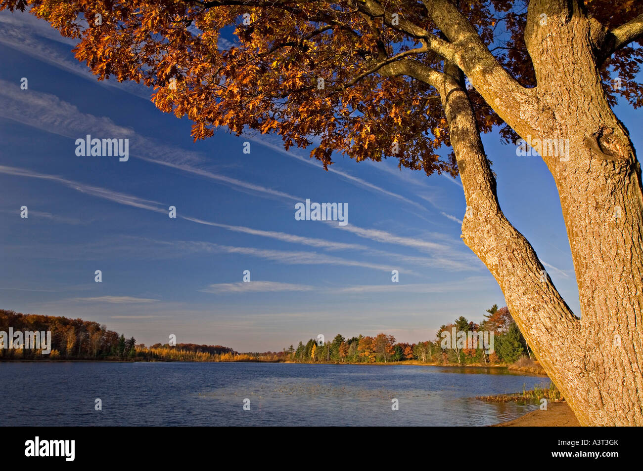 Fall color at Mission Lake Park in Marathon County Wisconsin Stock ...