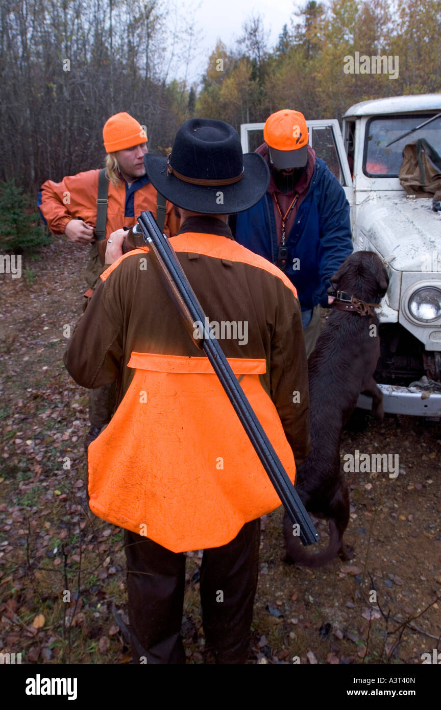 Upland bird hunting, Michigan Stock Photo - Alamy