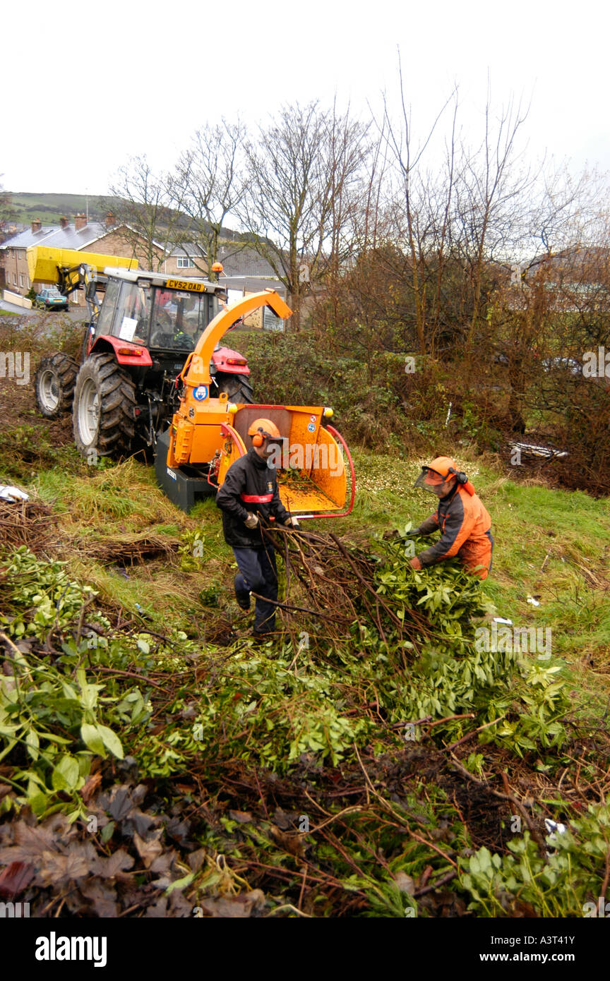 Scrub clearing machine hi-res stock photography and images - Alamy