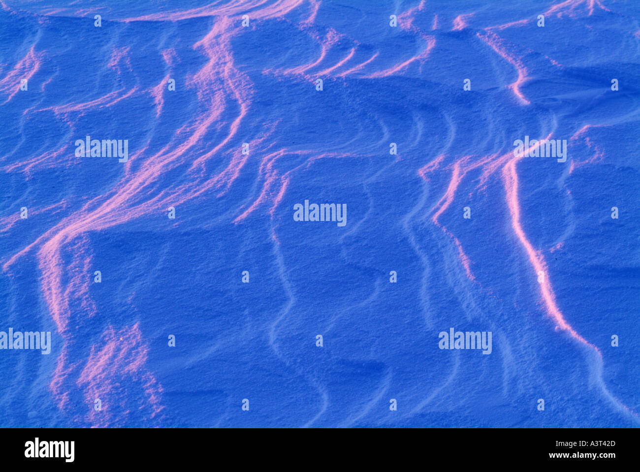 Pattern of snow Stock Photo - Alamy