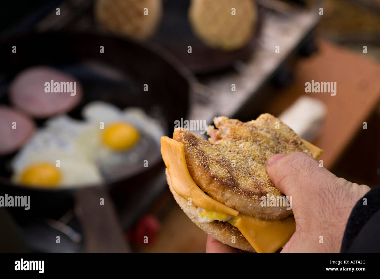 Breakfast sandwiches at hunting camp near Gwinn Michigan Stock Photo ...