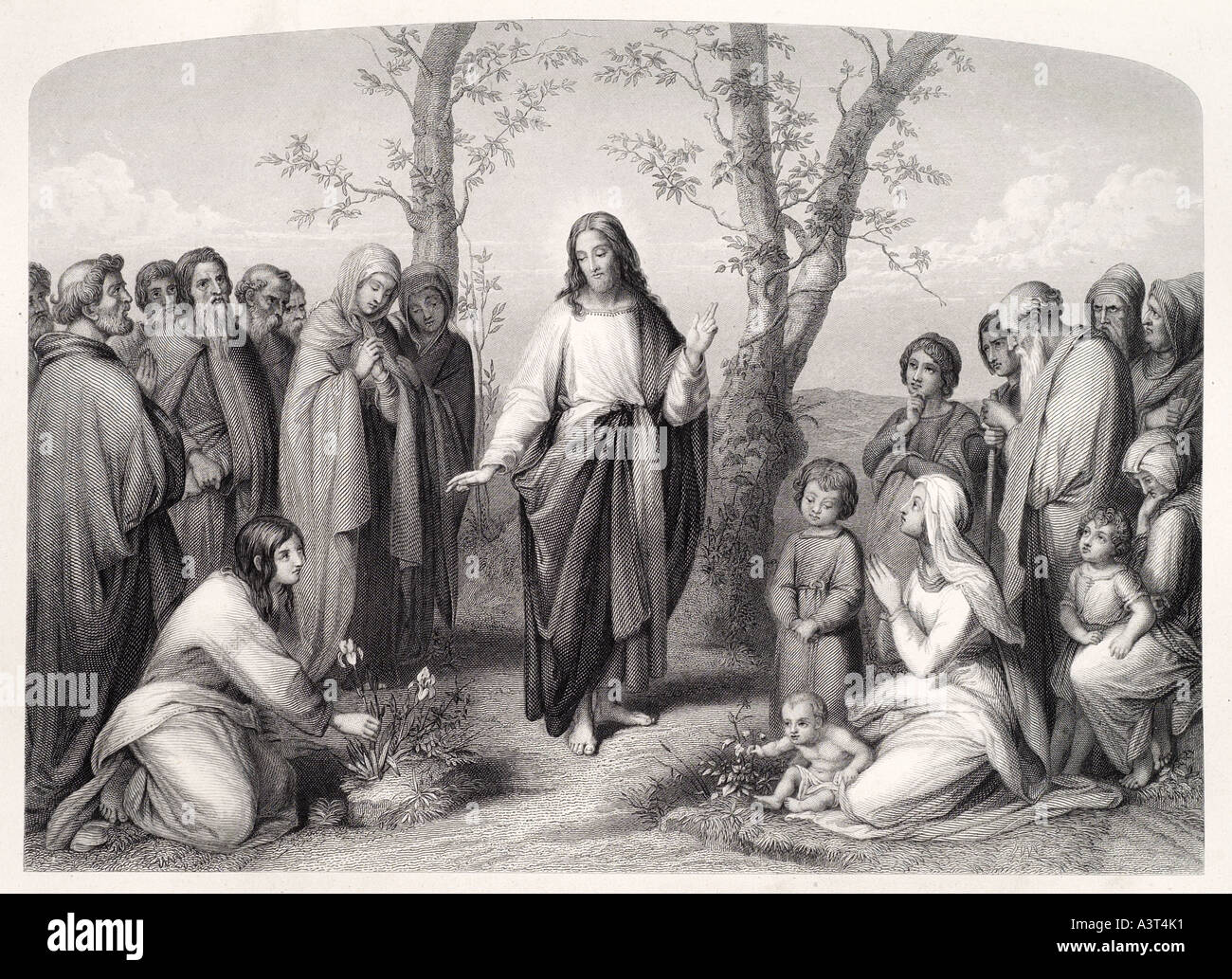 lilies field Allegory story Jesus Nazareth new testament Christian ...