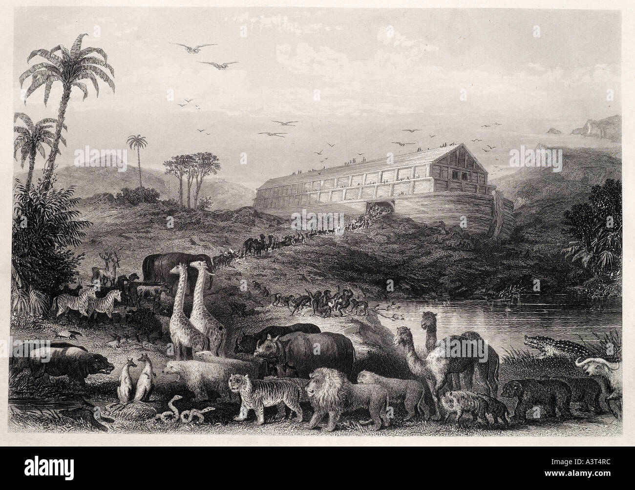 Noah ark flood hi-res stock photography and images - Alamy