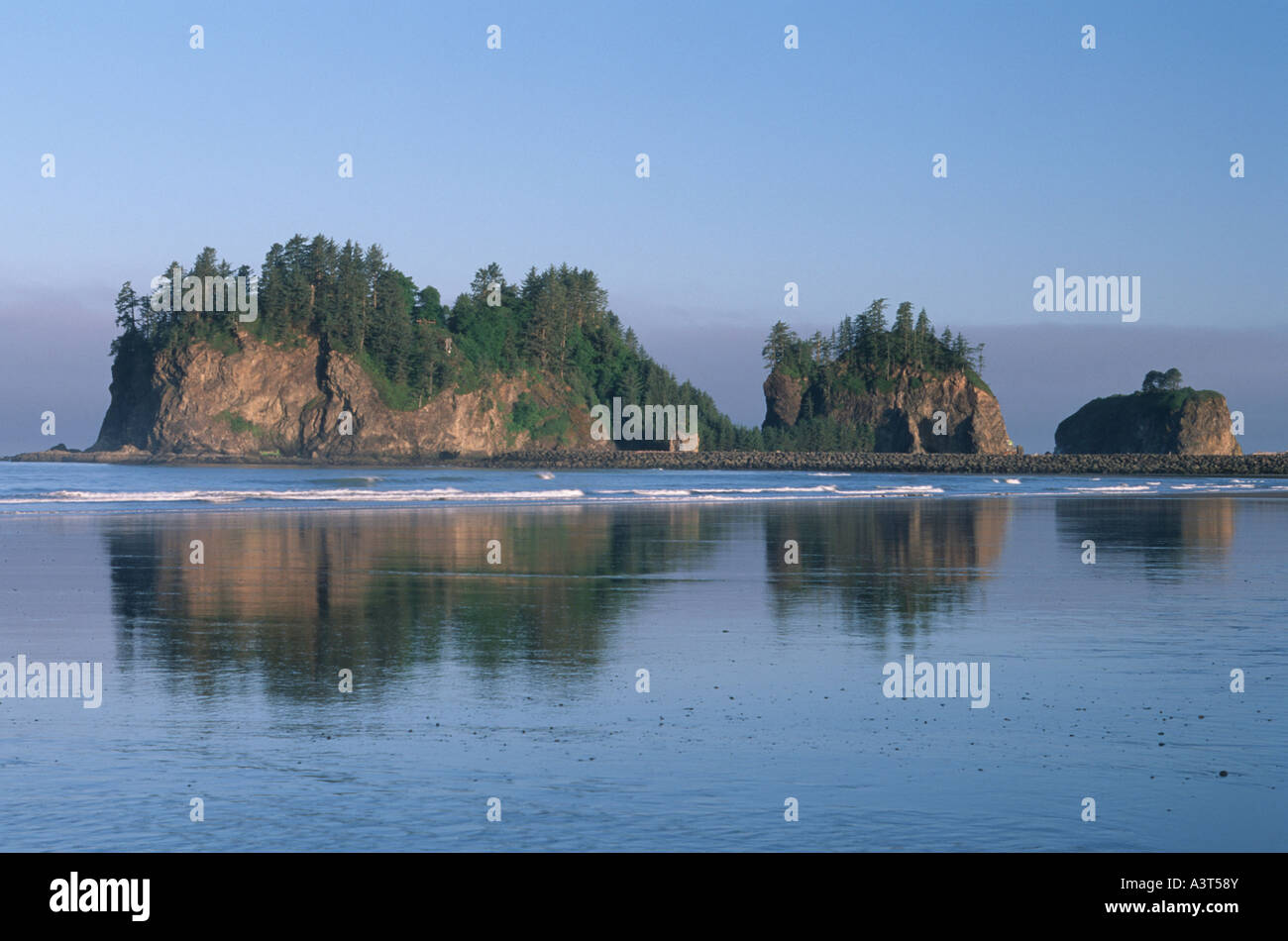 First Beach, Beach No.1 at the pazific caoast in morning light, USA ...