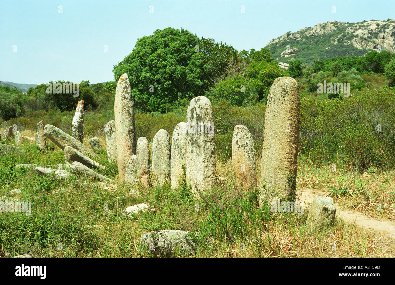 Corsican Megaliths near Sartene Corsica Stock Photo - Alamy