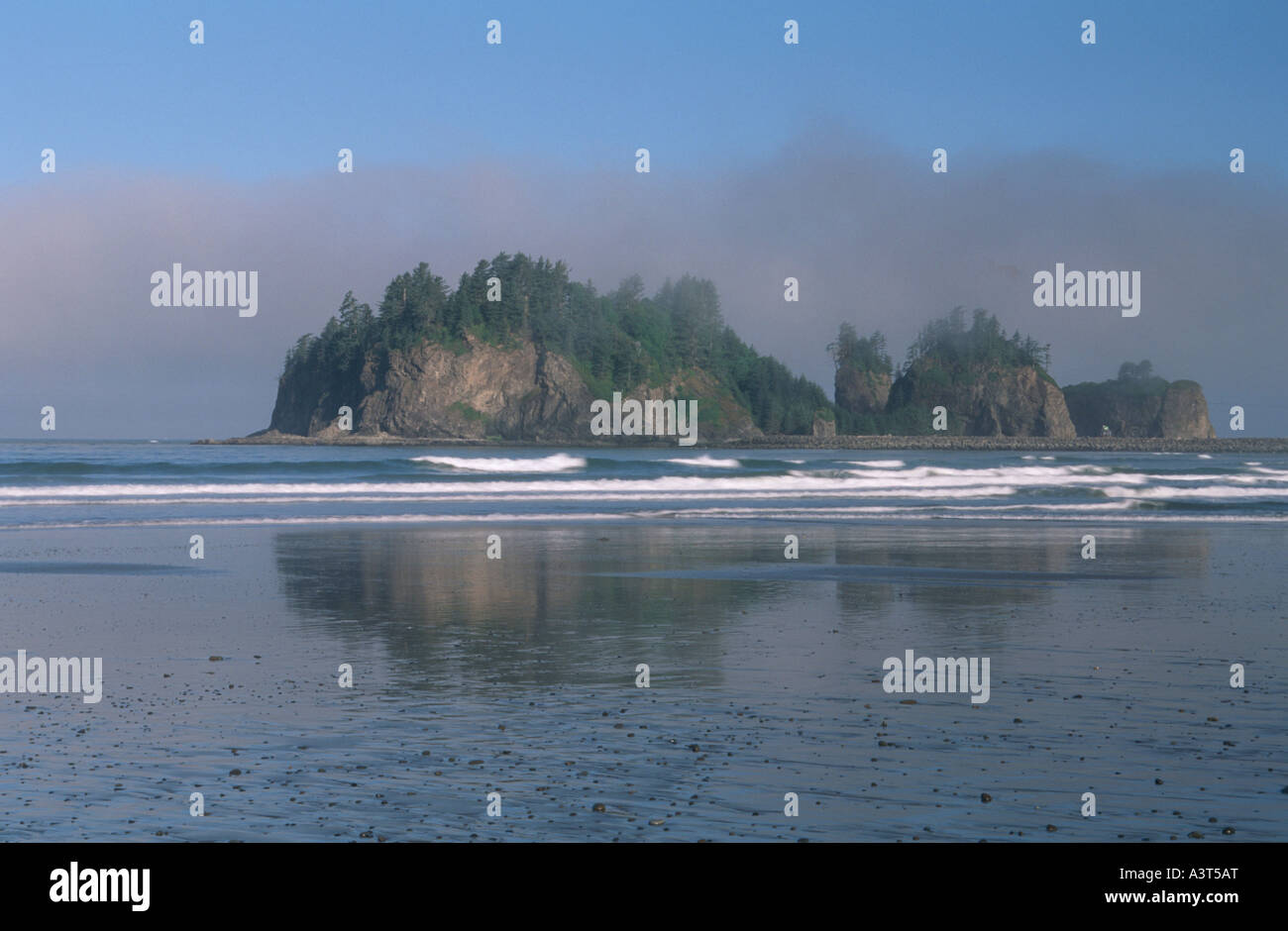 First Beach, Beach No. 1, Pazific Coast in morning light, USA ...