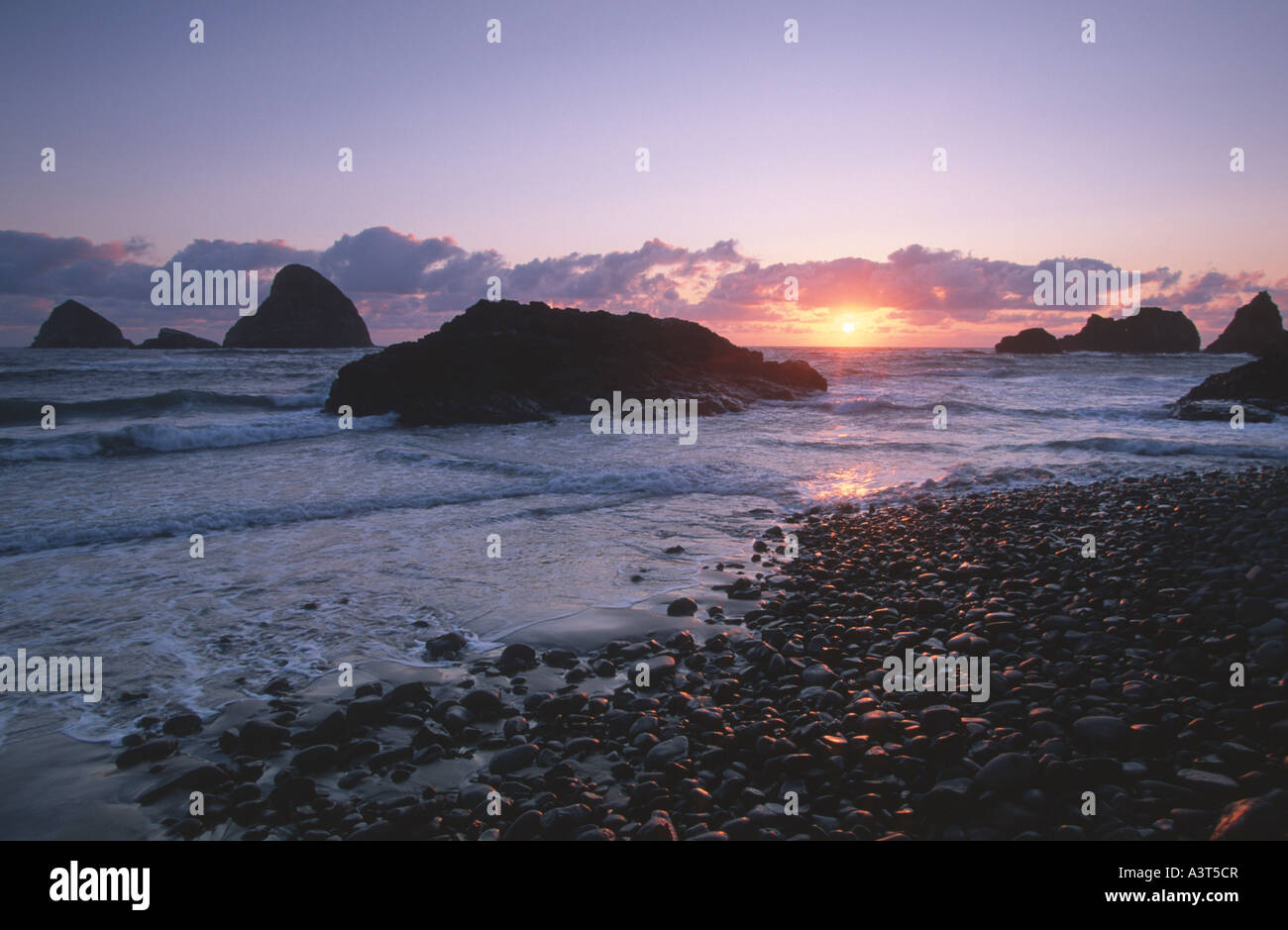 coast in sunset, USA, Oregon, Three Arch Rocks National Refuge Stock ...