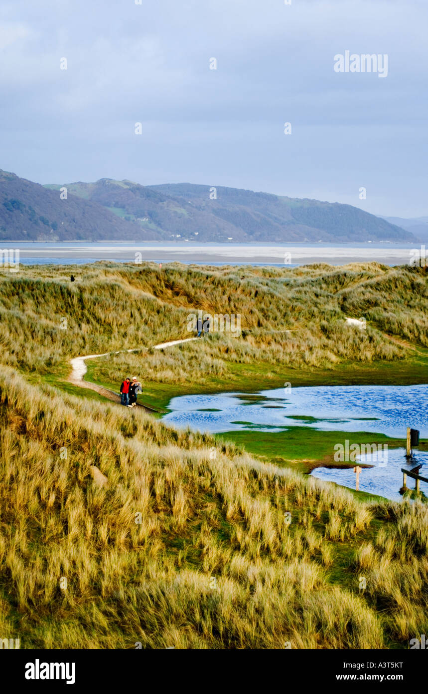 Ynyslas dunes nature reserve near Borth Ceredigion West Wales, looking ...