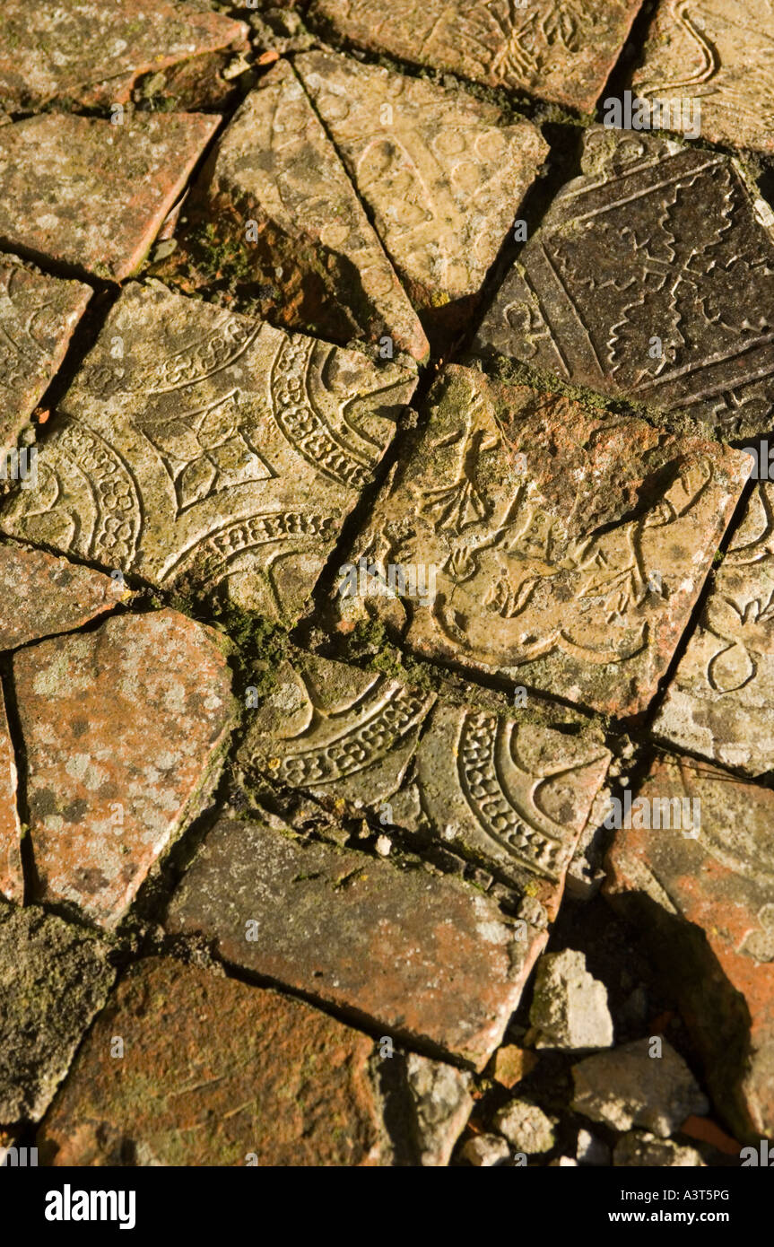 strata florida Ystrad Fflur Pontrhydfendigaid ceredigion medieval ...