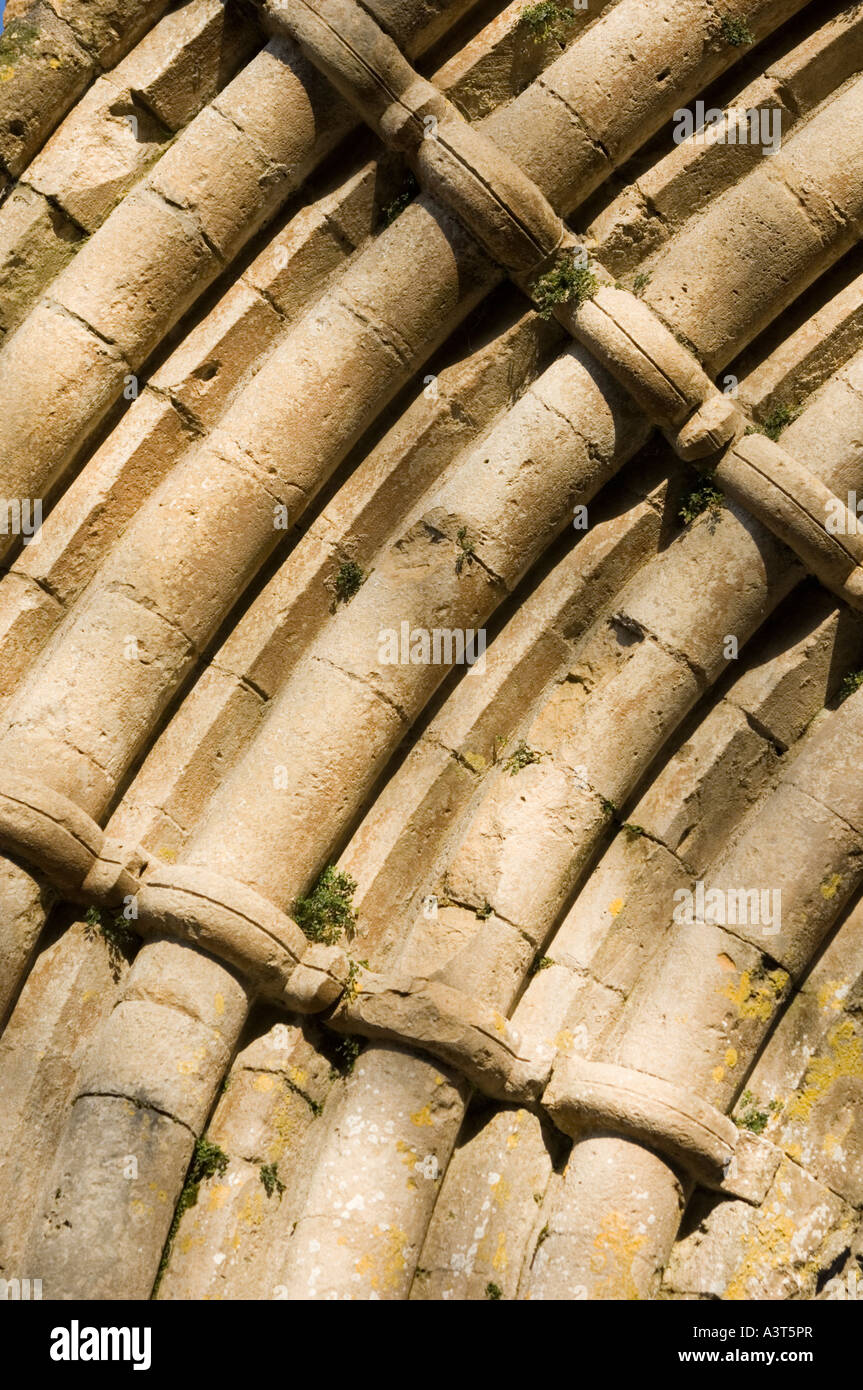 strata florida Ystrad Fflur ruined abbey Pontrhydfendigaid ceredigion Wales detail of the great ...