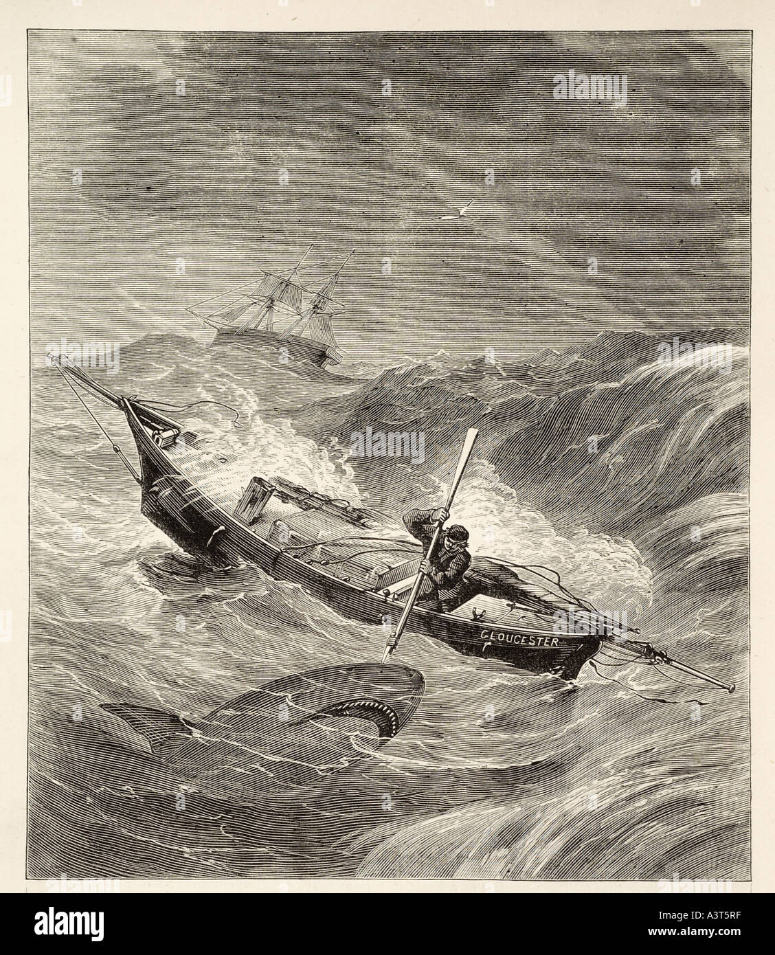 shark attack Boat long row sail wave storm big sea ocean spear harpoon ...