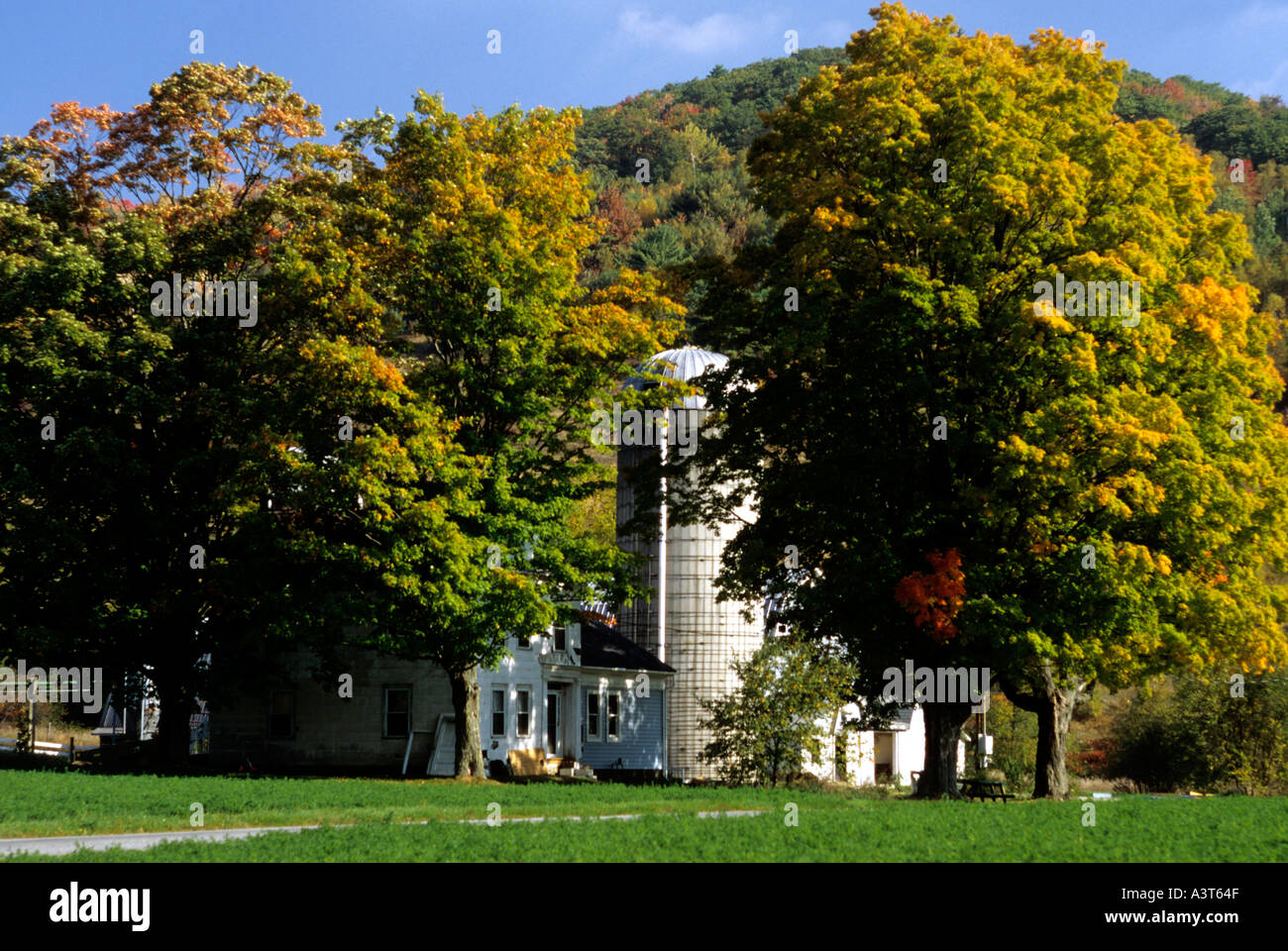 Indian summer new hampshire hi-res stock photography and images - Alamy