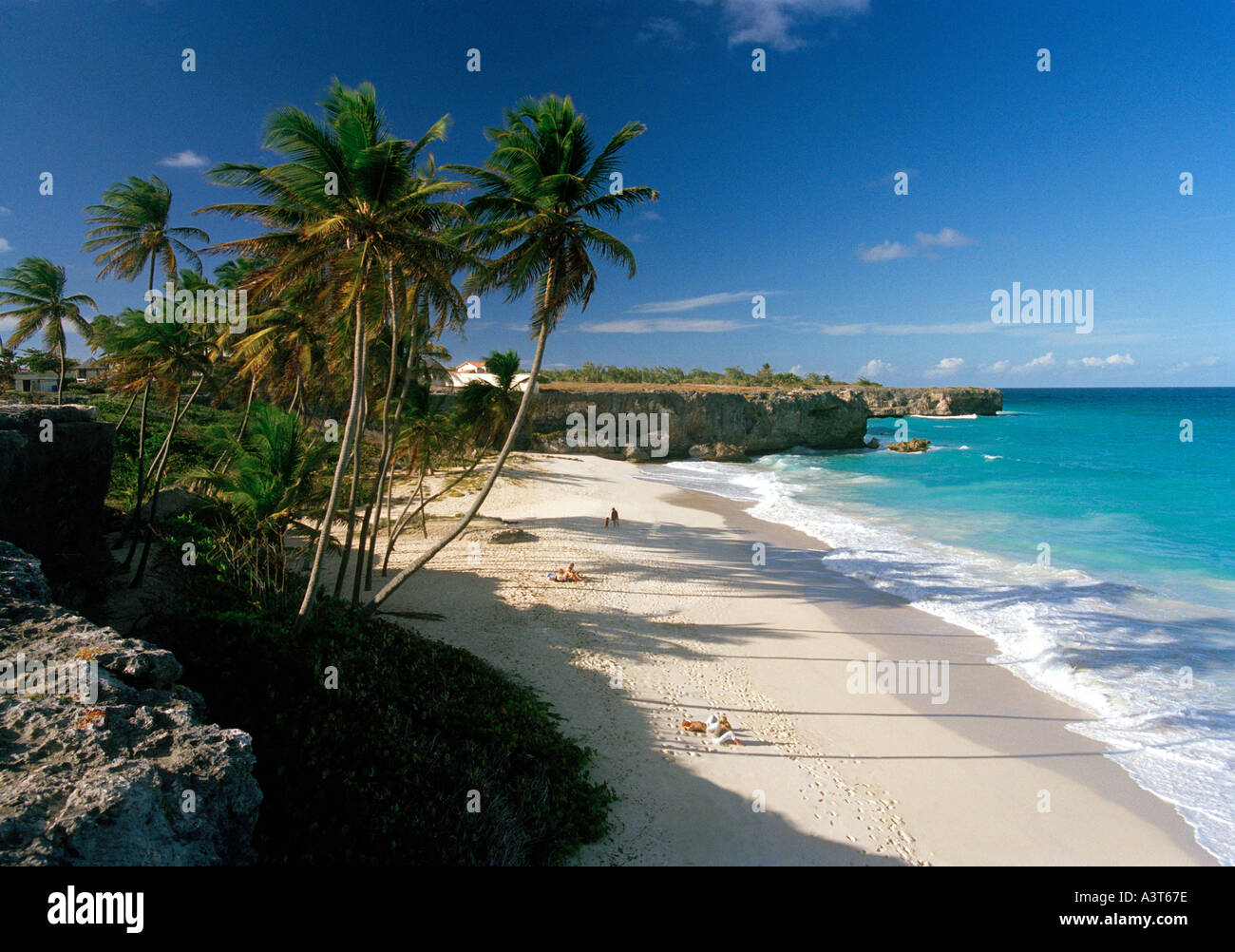 West Indies, Eastern Caribbean, Barbados, sandy beach, at Bottom Bay ...