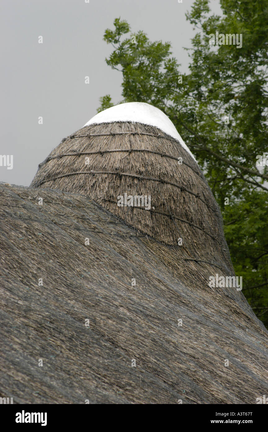 Troedrhiwfallen thatched roof welsh cottage Cribyn Ceredigion, owned by ...