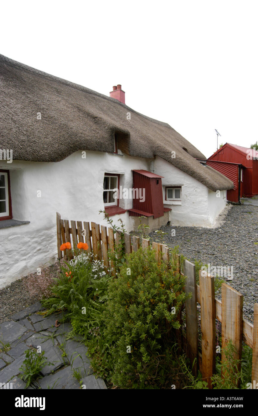Ffynnon Oer thatched welsh cottage Cribyn Ceredigion, owned by Greg ...