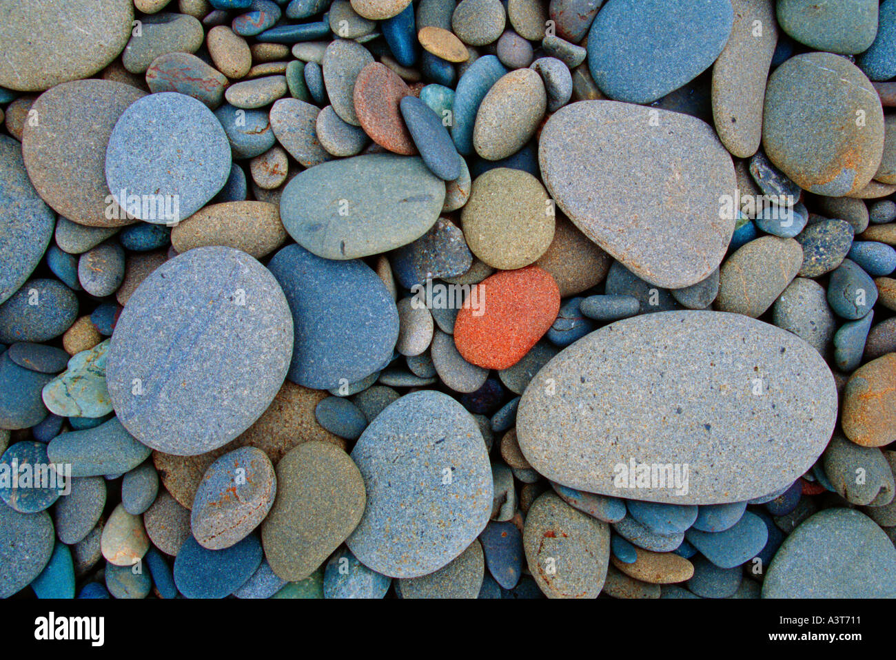 Beach Pebbles on Rialto Beach Stock Photo - Alamy