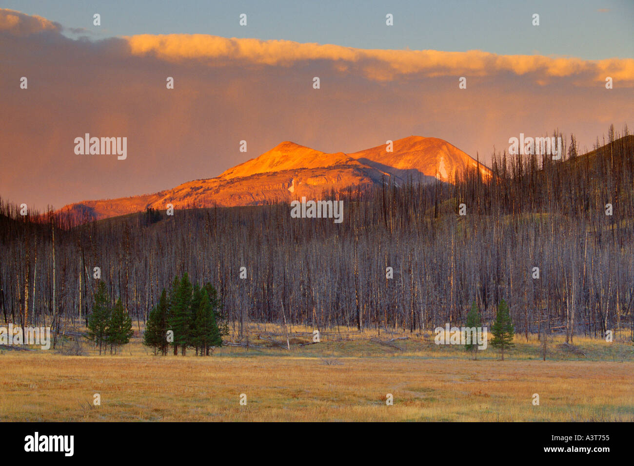 Electric peak yellowstone national park hi-res stock photography and ...