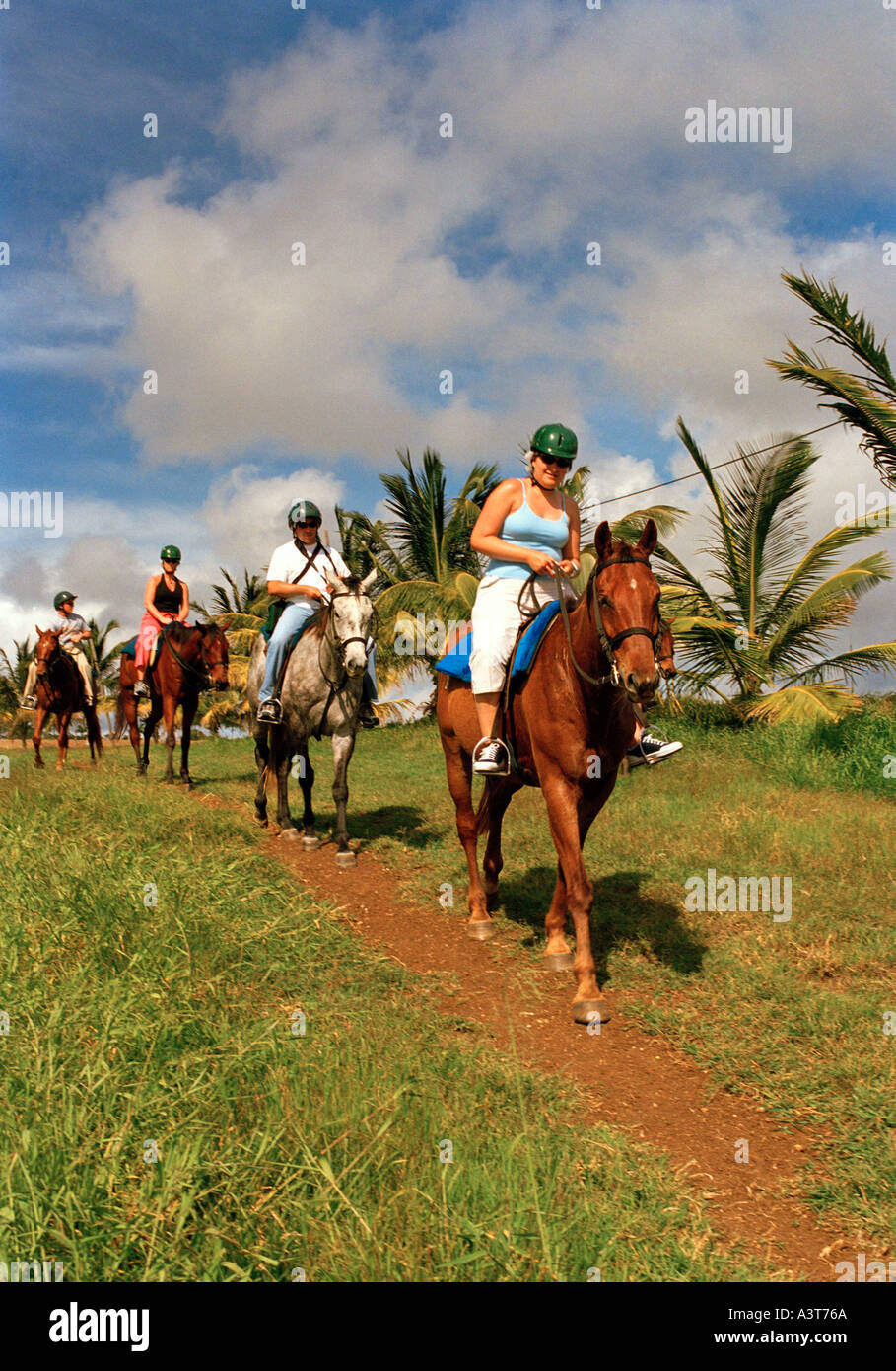 Horse trekking barbados hi-res stock photography and images - Alamy
