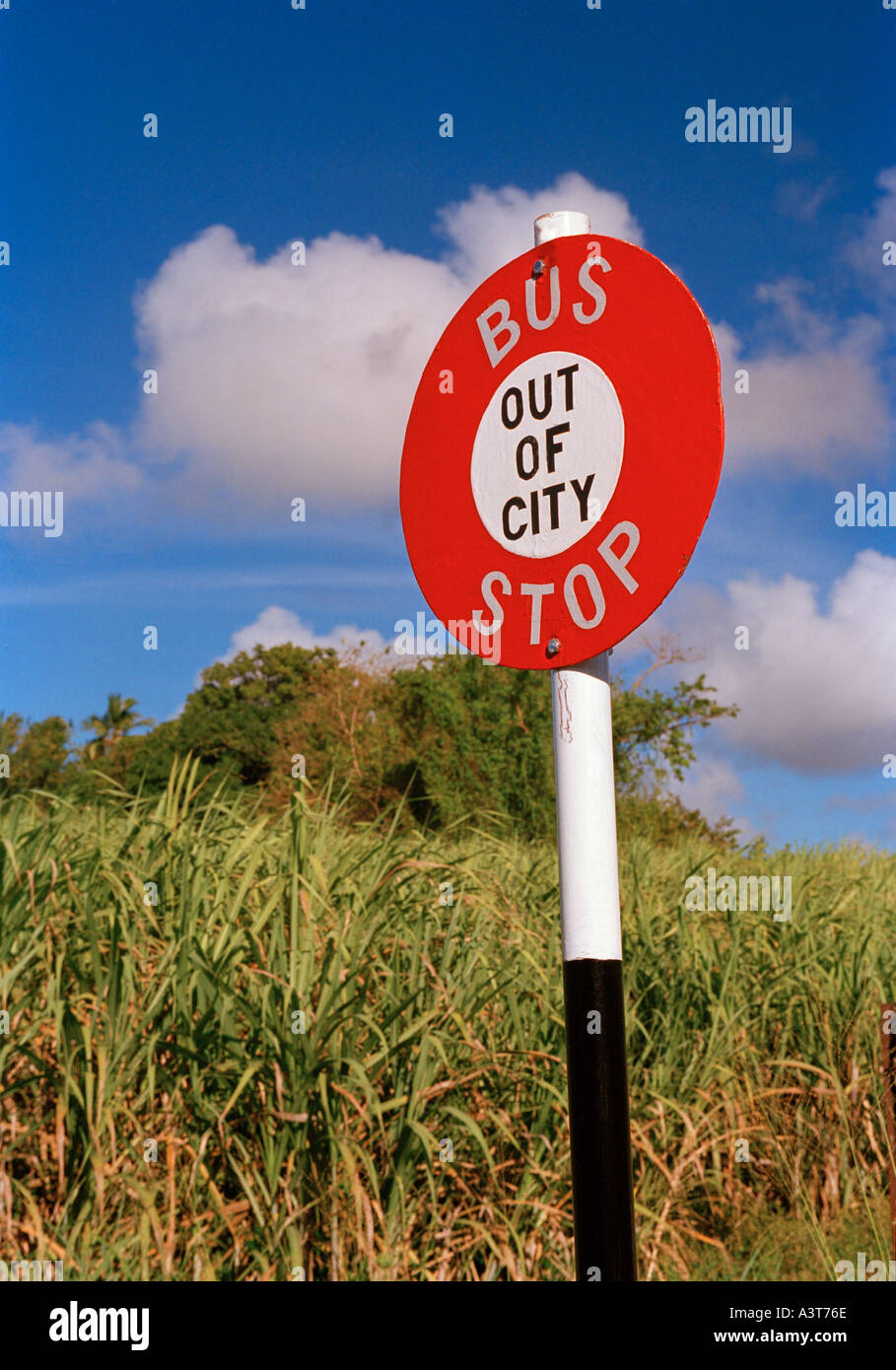 West Indies, Eastern Caribbean, Barbados, Bus stop sign Stock Photo - Alamy