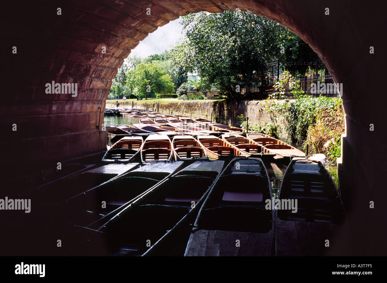 Punts under Magdalen Bridge Oxford Stock Photo - Alamy