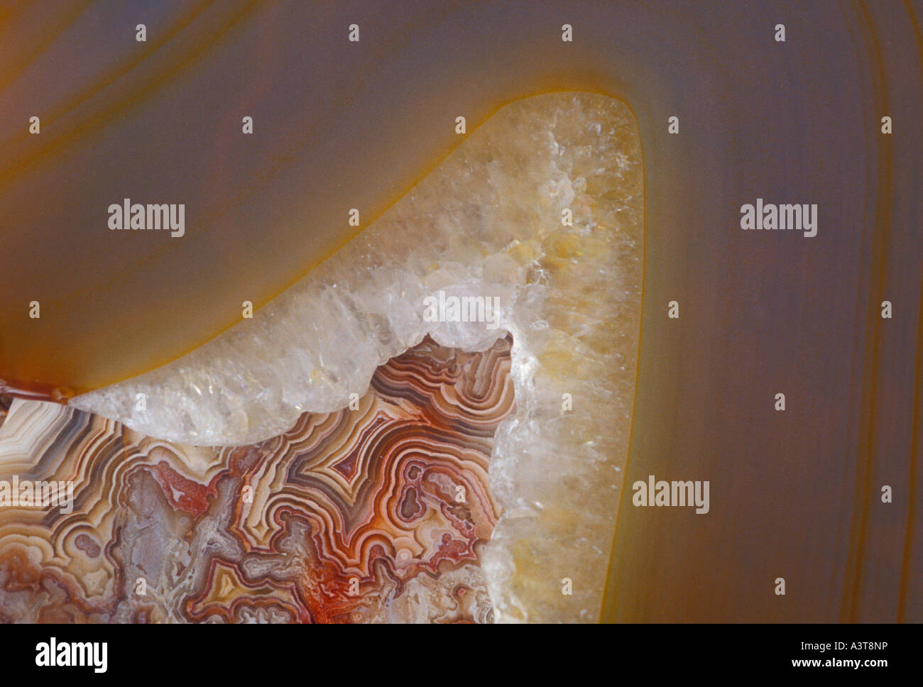 Cut and polished Lake Superior agates from near Marquette Mich Stock ...