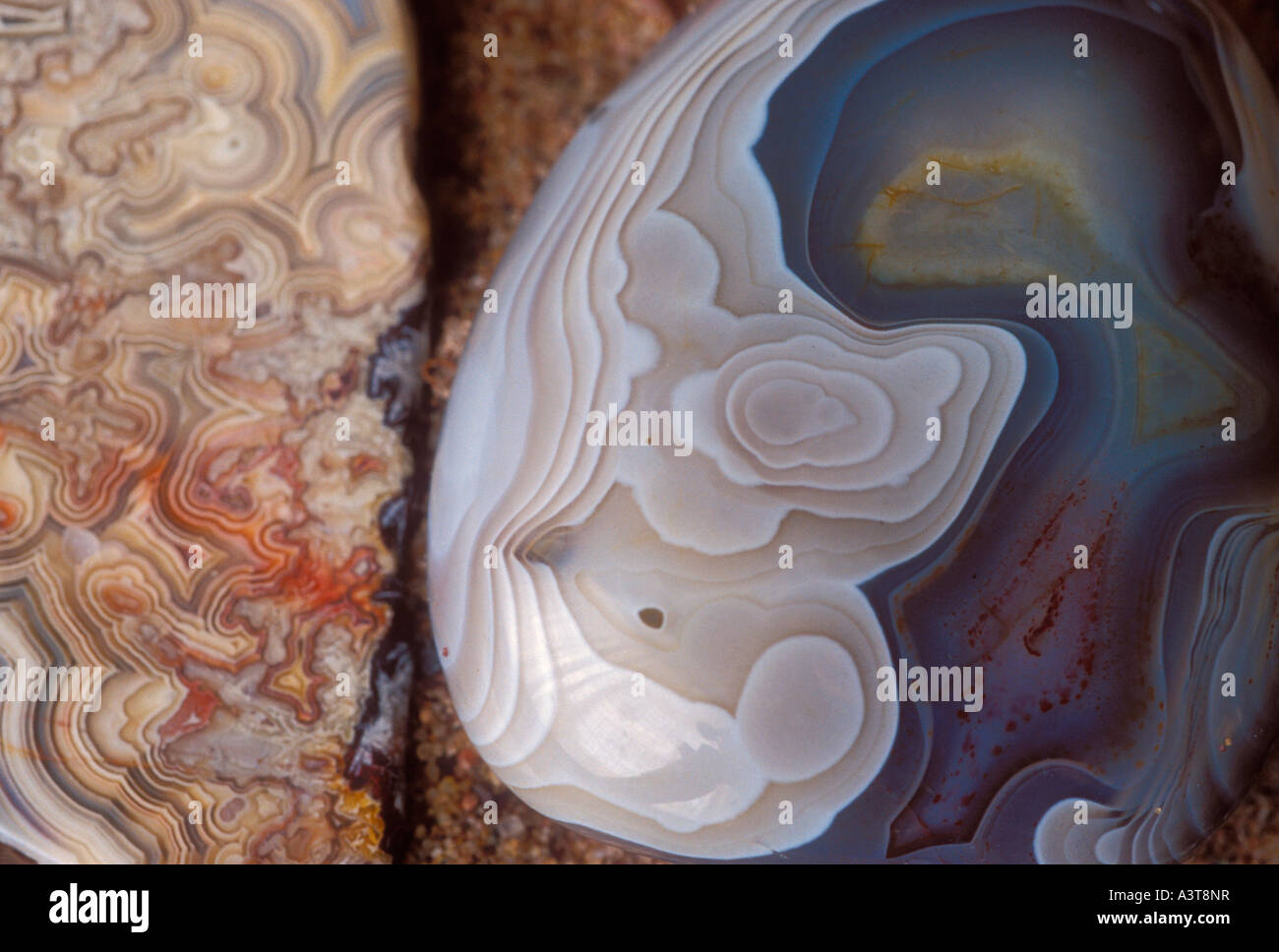 Lake superior agate hi-res stock photography and images - Alamy