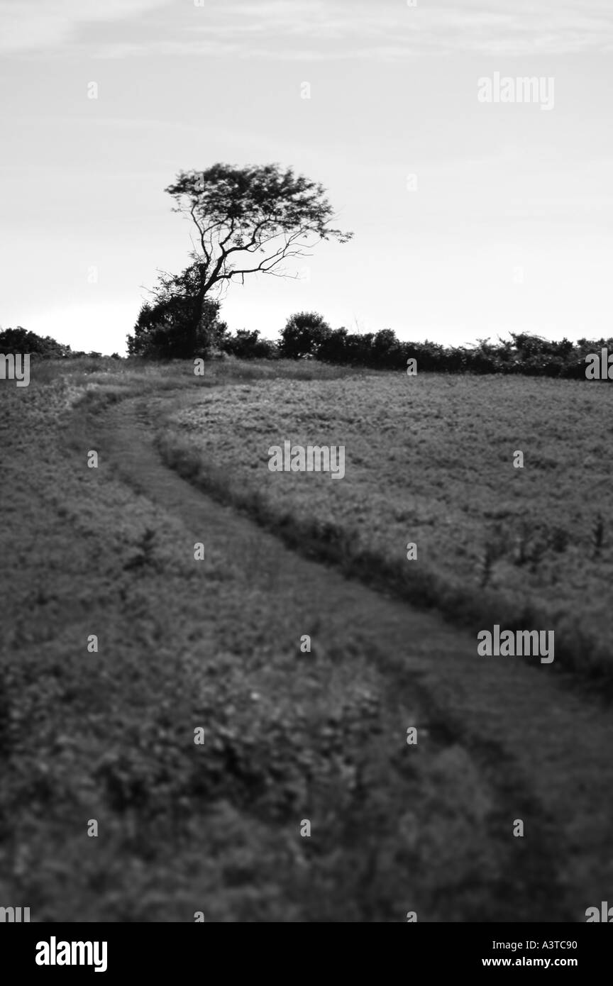 Winding end Black and White Stock Photos & Images - Alamy