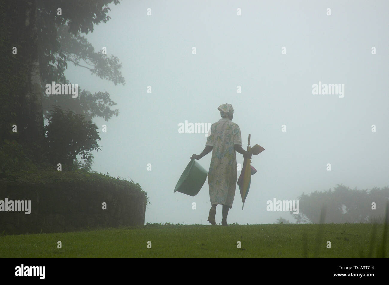 Vumba mountains hi-res stock photography and images - Alamy