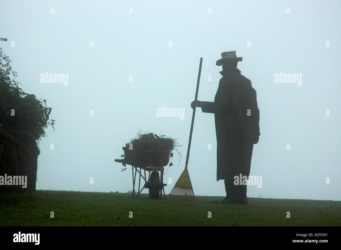 Gardener raking lawn old wheelbarrow silhouetted in misty weather Vumba ...
