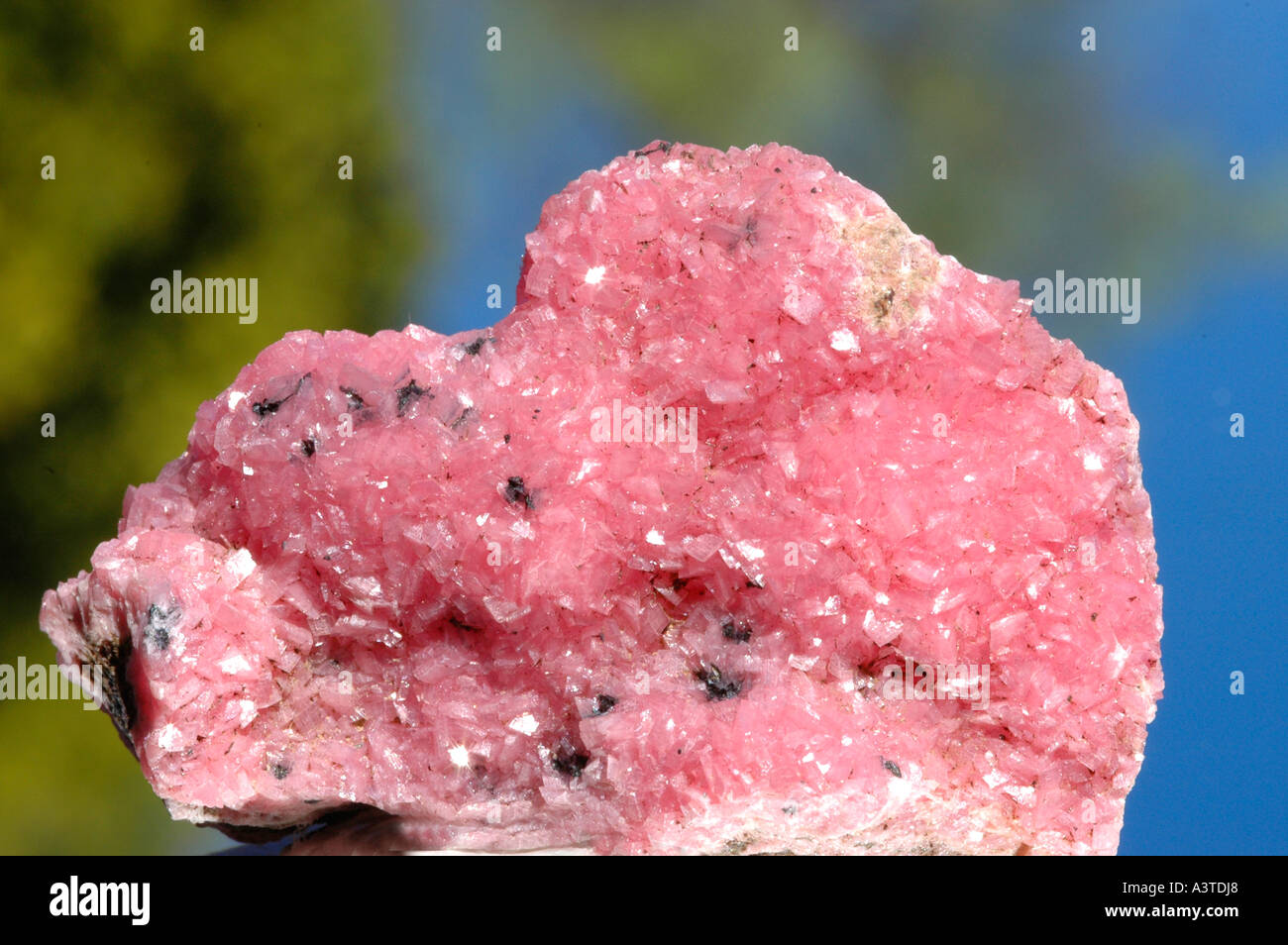 Pink rhodochrosite from N chwaning mine Kalahari manganese field South ...