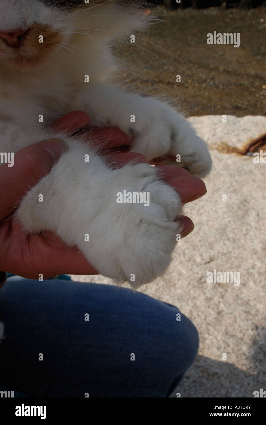 132 feet tall hi-res stock photography and images - Alamy
