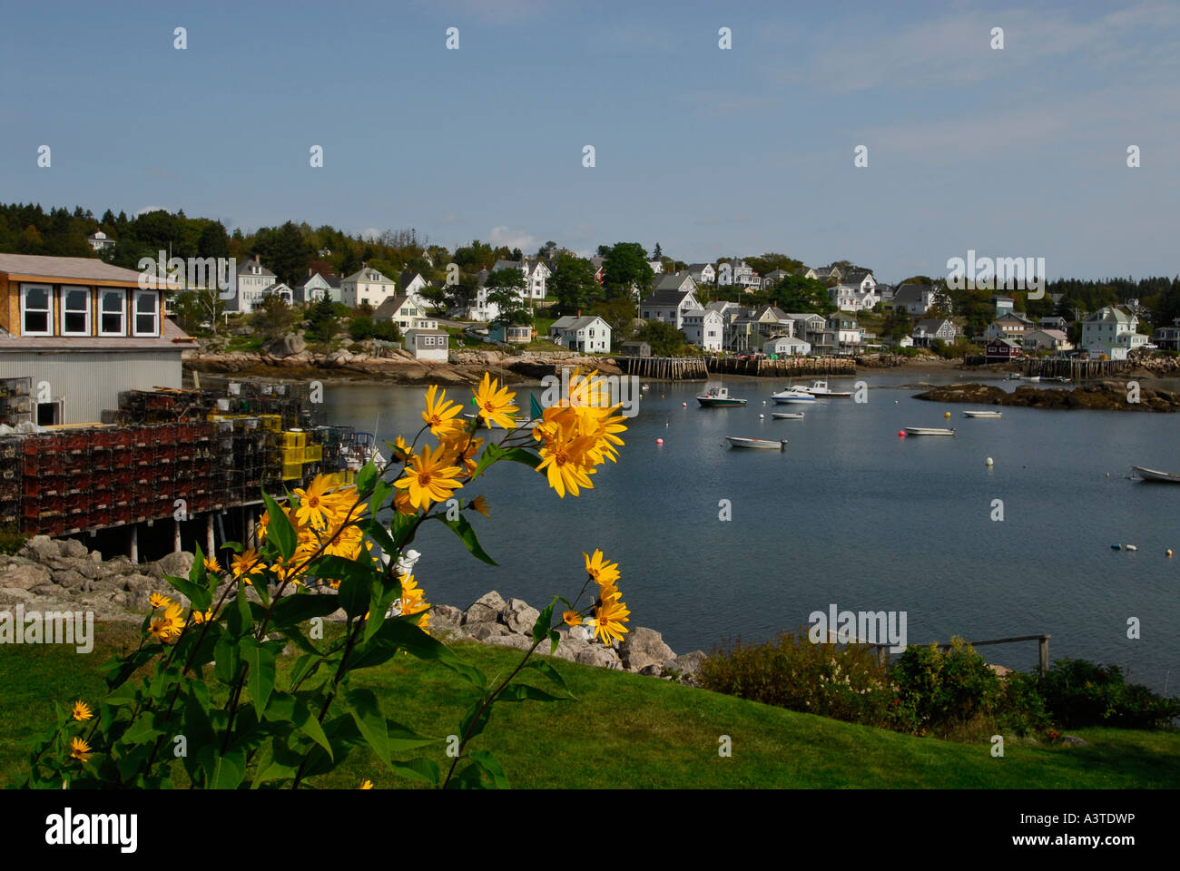 Castine town home of the Maine Marine Academy Stock Photo - Alamy