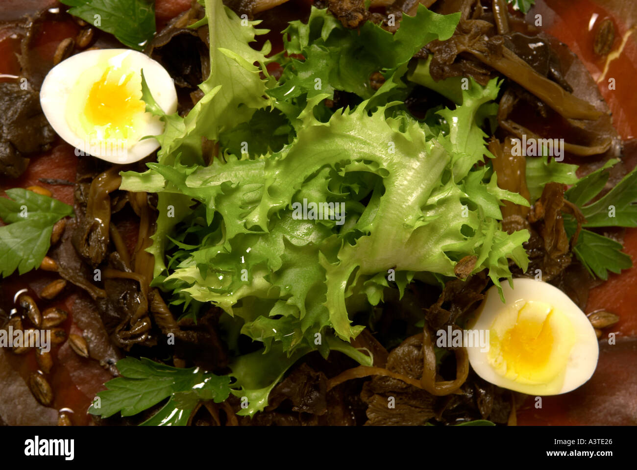 Elk meat sweden hi-res stock photography and images - Alamy